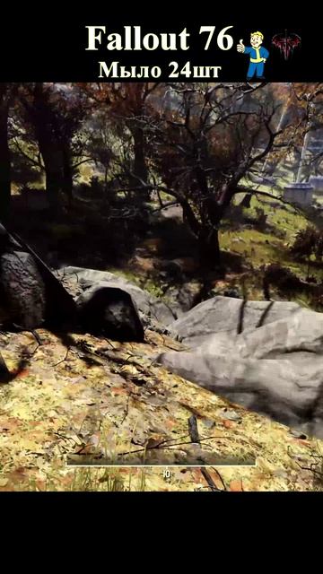 Fallout 76 Мыло 24шт