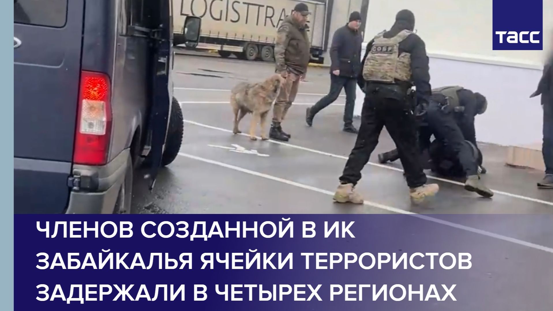 Членов созданной в ИК Забайкалья ячейки террористов задержали в четырех регионах