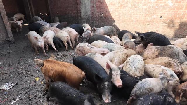 Другой мир/Этот Египет не продаётся в турагентствах.