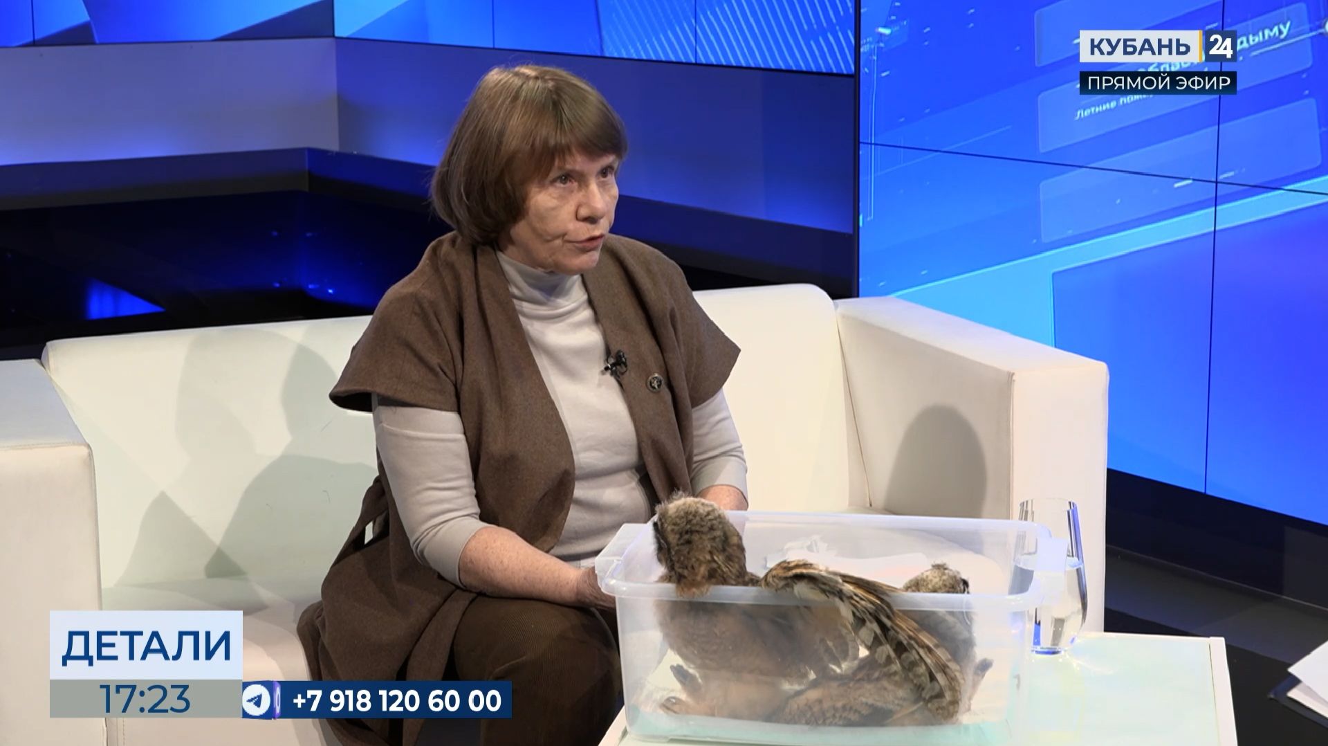 Светлана Смирнова: на Кубани насчитывается 350 видов птиц