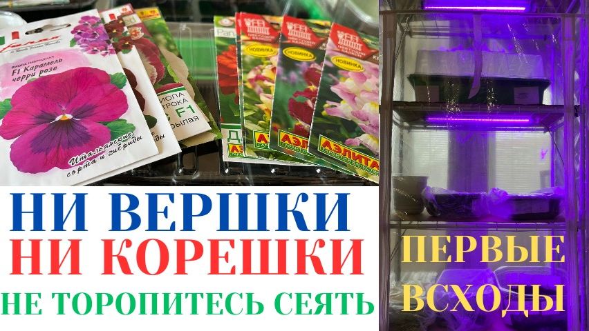 НЕ ПОВТОРЯЙТЕ ОШИБОК / КОГДА СЕЯТЬ / ОТКРЫТИЕ СЕЗОНА 2026 / ПЕРВЫЕ ПОСЕВЫ И ВСХОДЫ