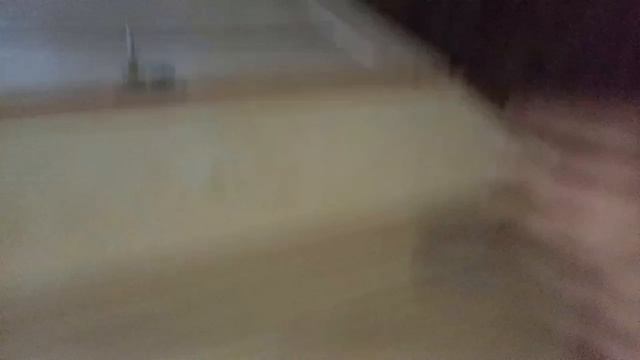 День рождения Рикенса 10 лет. Прятки.