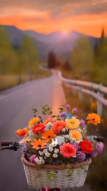 #katyboro #видео #видеооткрытка #топ #врек #реки #viral #рекомендации #2026 #врекомендации #video