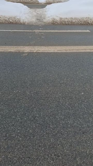 №1460 ул. Революции. 15 февраля 2026 г., 15:13:32 VID_20260215_151221432