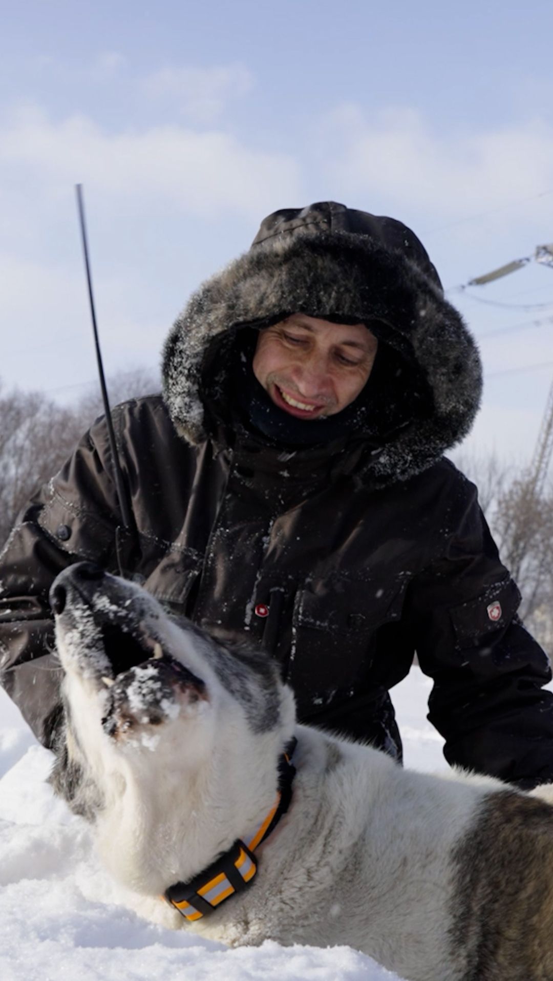 Gps-ошейник Artelv Tracker – спокойствие за питомца на каждой прогулке.