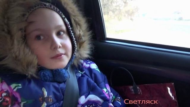 В лесу. В автомобиле. Софья.