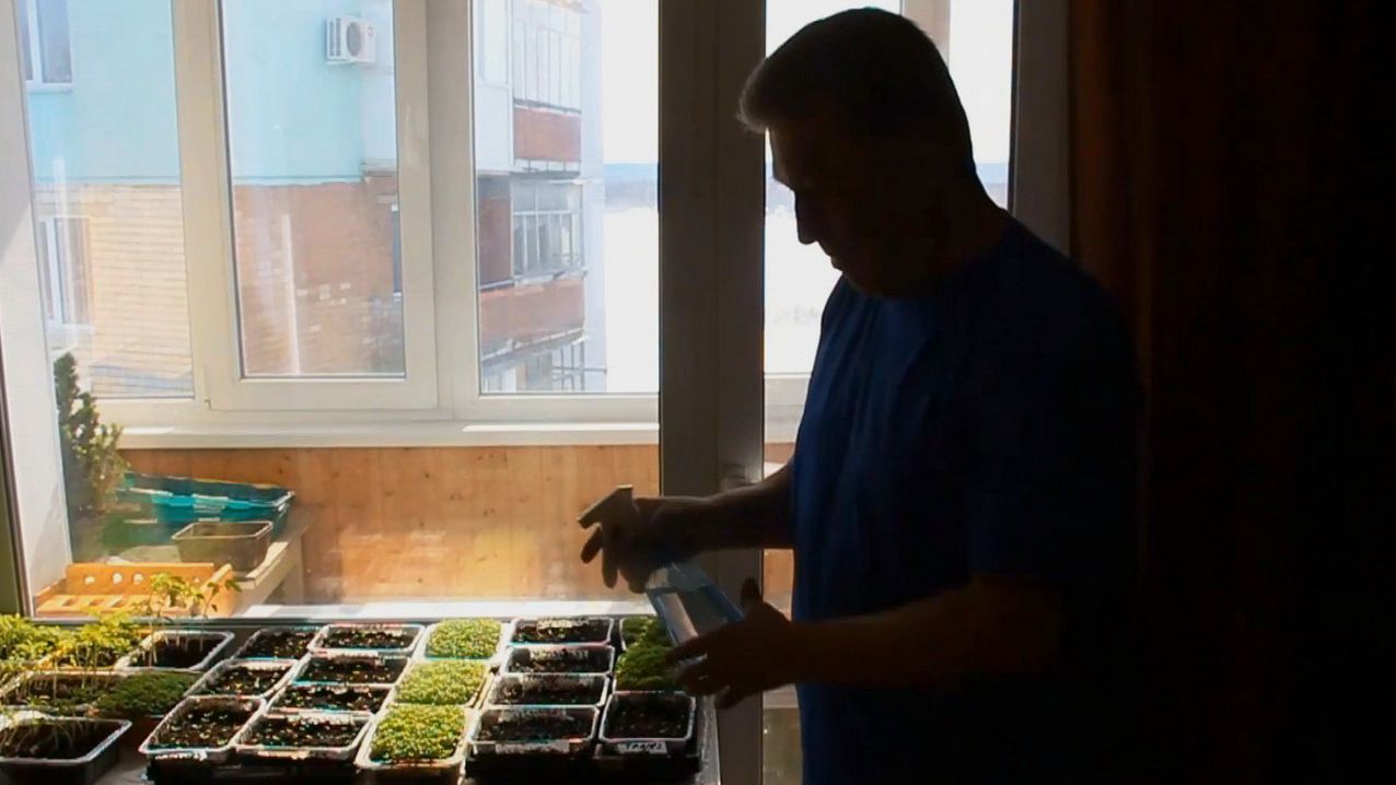 «МАРТ ТАБАКОВОДА: ПИКИРОВКА РАССАДЫ ТАБАКА – 9 лет назад» «Сады порока» 2 сезон 2 серия 1 часть