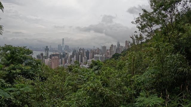 Панорама Гонконга с пика Виктории!