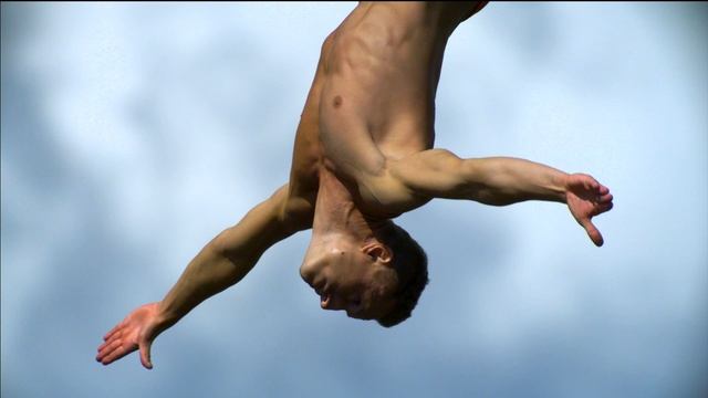 Чемпионат по водным видам спорта в Казани (2015)