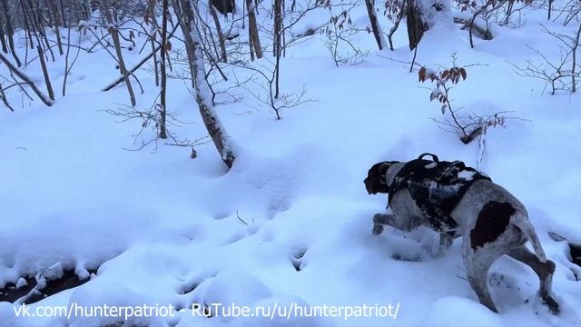 🌨️ Попавший в сильную метель: тёплое убежище с костром под деревом при температуре -21°C 🧔🏻
