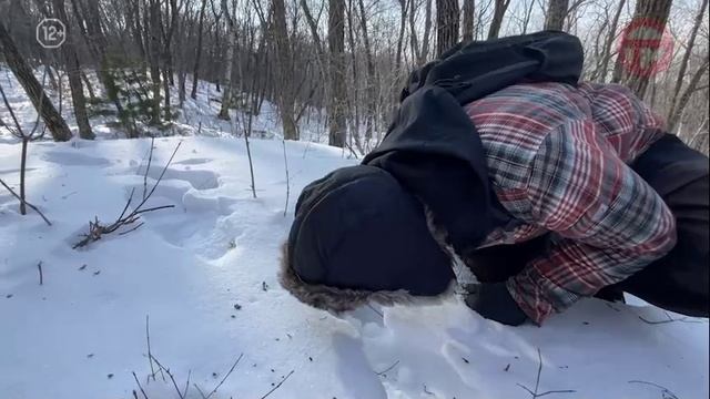 «По Уссурийскому краю». Чьи следы можно встретить в зимней тайге.