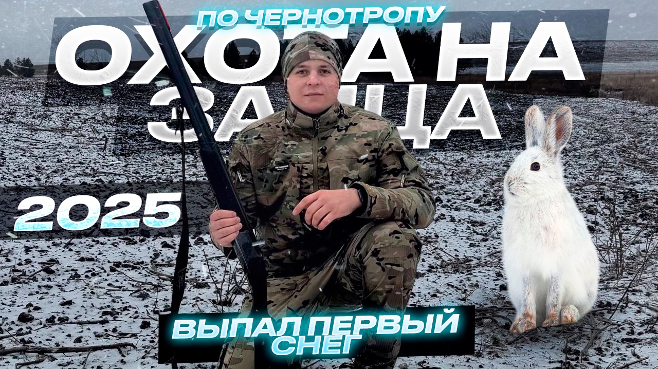 Охота на зайца 2025 | Выпал первый снег