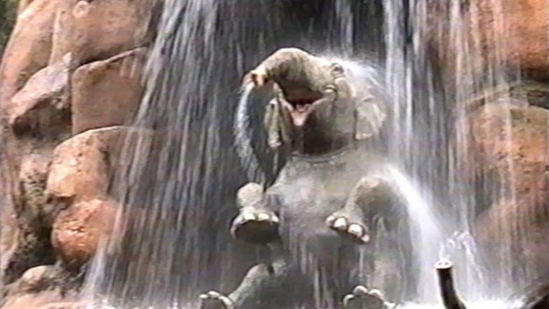 Япония. Токийский Диснейлэнд. Круиз по джунглям, 2001