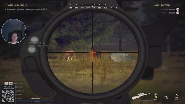 Way of the Hunter | Чернохвостый олень с меланизмом