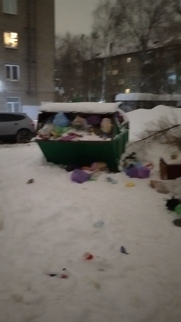 №1464 Двор Г. Звезда 73-Красноармейская 52 15 февраля 2026 г., 21:10:21 VID_20260215_210750085