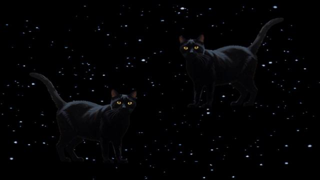 Снег хрустящий. Хруст снега под ногами