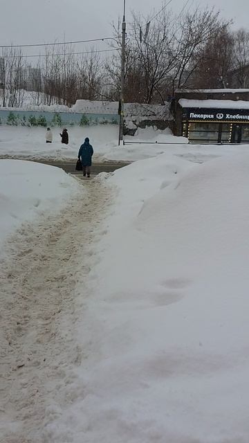 №1481 ул. Белинского. 17 февраля 2026 г., 14:33:59 VID_20260217_143303461