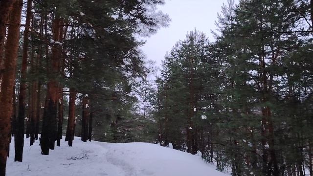 Немного поговорим об инвестициях. Акции и вклады