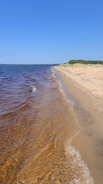 Карелия 2025. Челмужская коса. Онежское озеро. Июль 2025г (Часть 29)