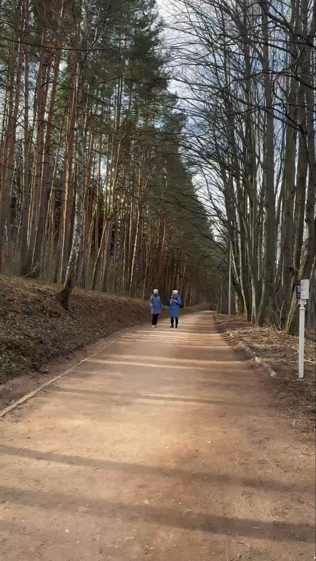 Кисловодский парк - давайте беречь его воздух, его магию