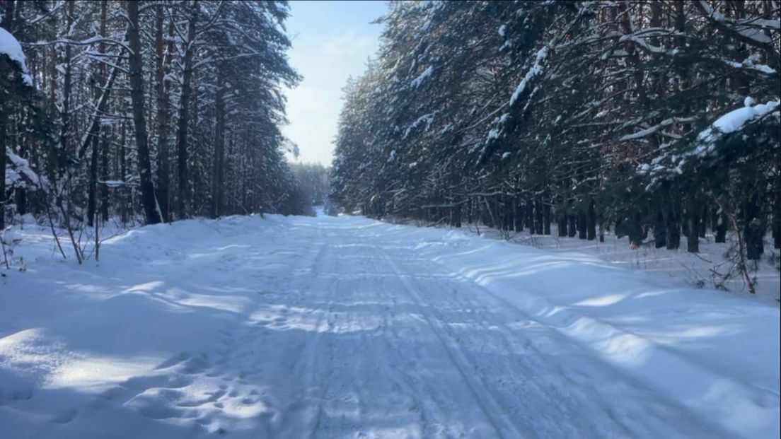 Зимняя прогулка с Алексеем