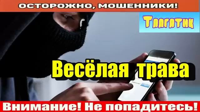 Тл - Мошенники звонят по телефону _ Попросил у мошенника немного золота