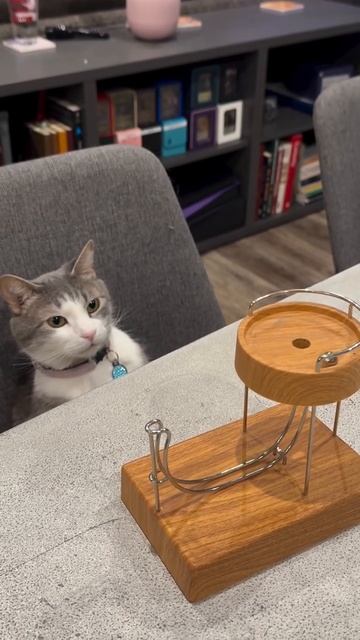 Бесконечный наблюдатель