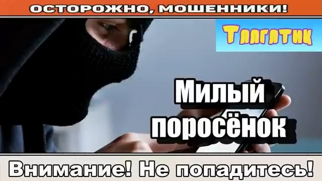 Тл - Мошенники звонят по телефону _ Талгат, весёлый антимошенник ( сборник )ТлТл