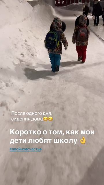 Веселые истории из жизни близнецов