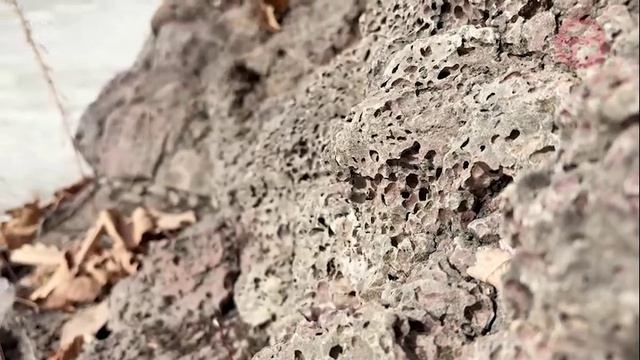 «По Уссурийскому краю». Шуфан.