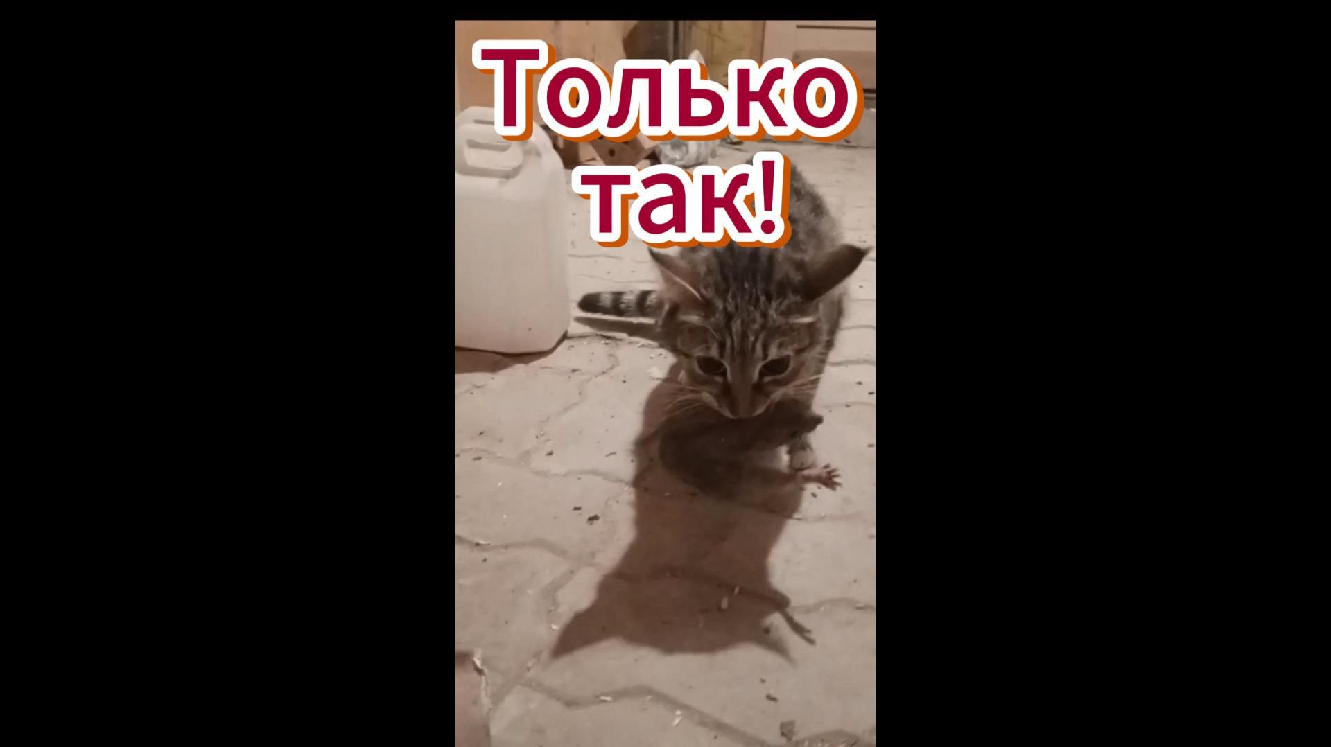🔥 Только так!