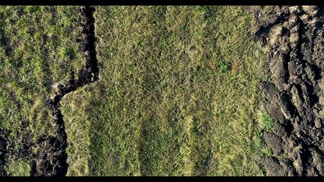 АГРОКАРТИНА, КОСМОНАВТ НИКОЛАЕВ