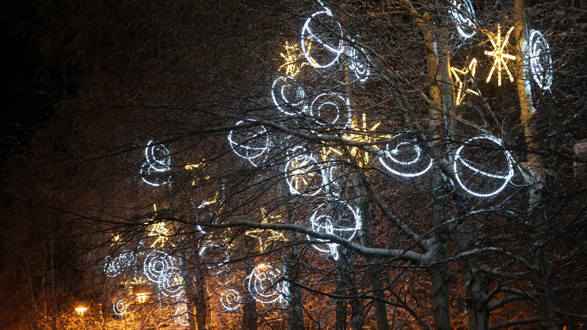 Световое оформление деревьев для городсткого пространства. г. Губкинский