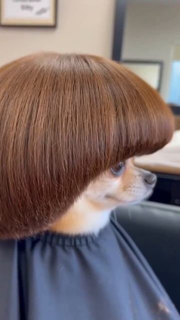 Причёска имба 😂