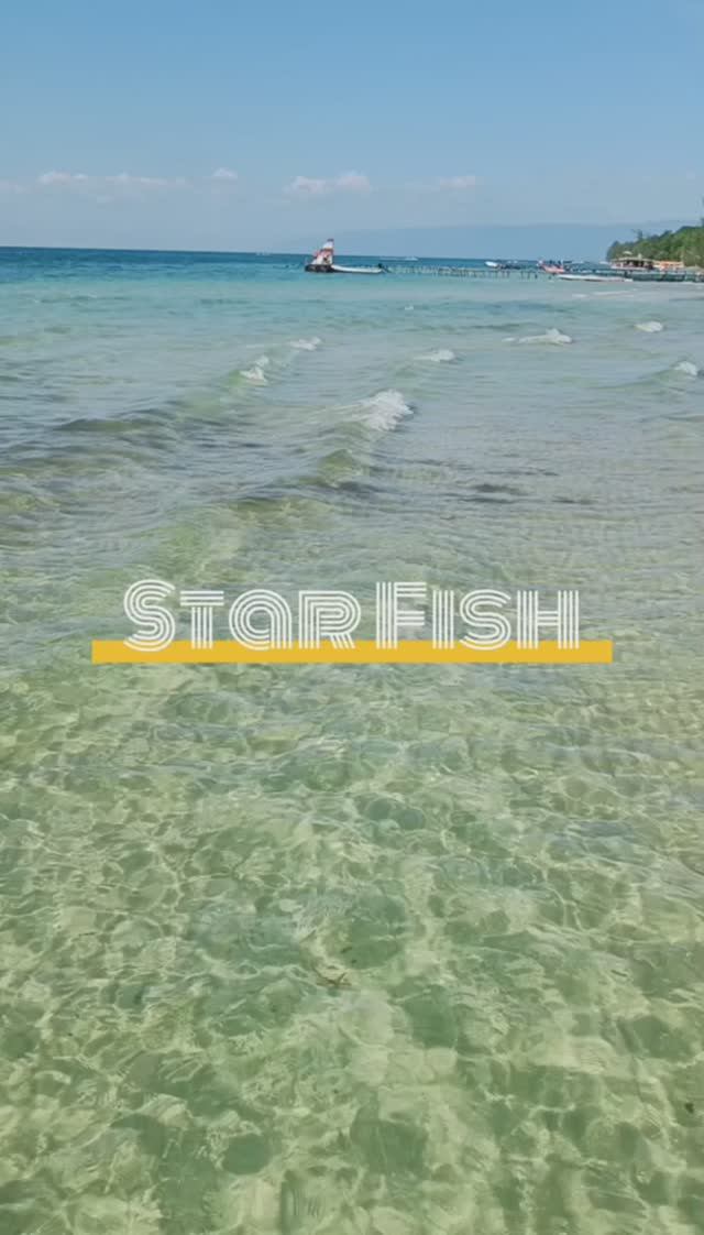 Вот почему все ездят на этот пляж #starfish #phuquoc #mustsee #пляжсозвездами #фукуокпляжи #рачвем