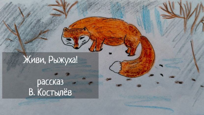 Живи Рыжуха Виталий Костылев Из книги рассказов  Лето ДЕТЯМ