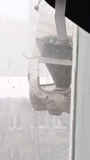 на кормушке3