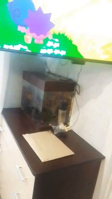 Соник Стал Жёлтым?!