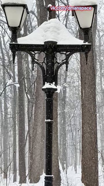 Снег уже не радует - жгите чучело!