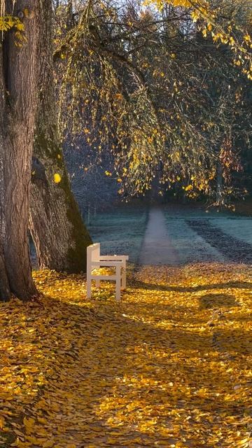 Neuromult .Осень