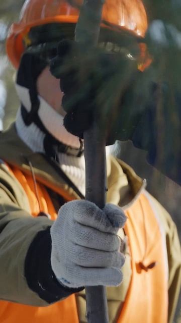 С чего начинается поиск нефти 🛢️