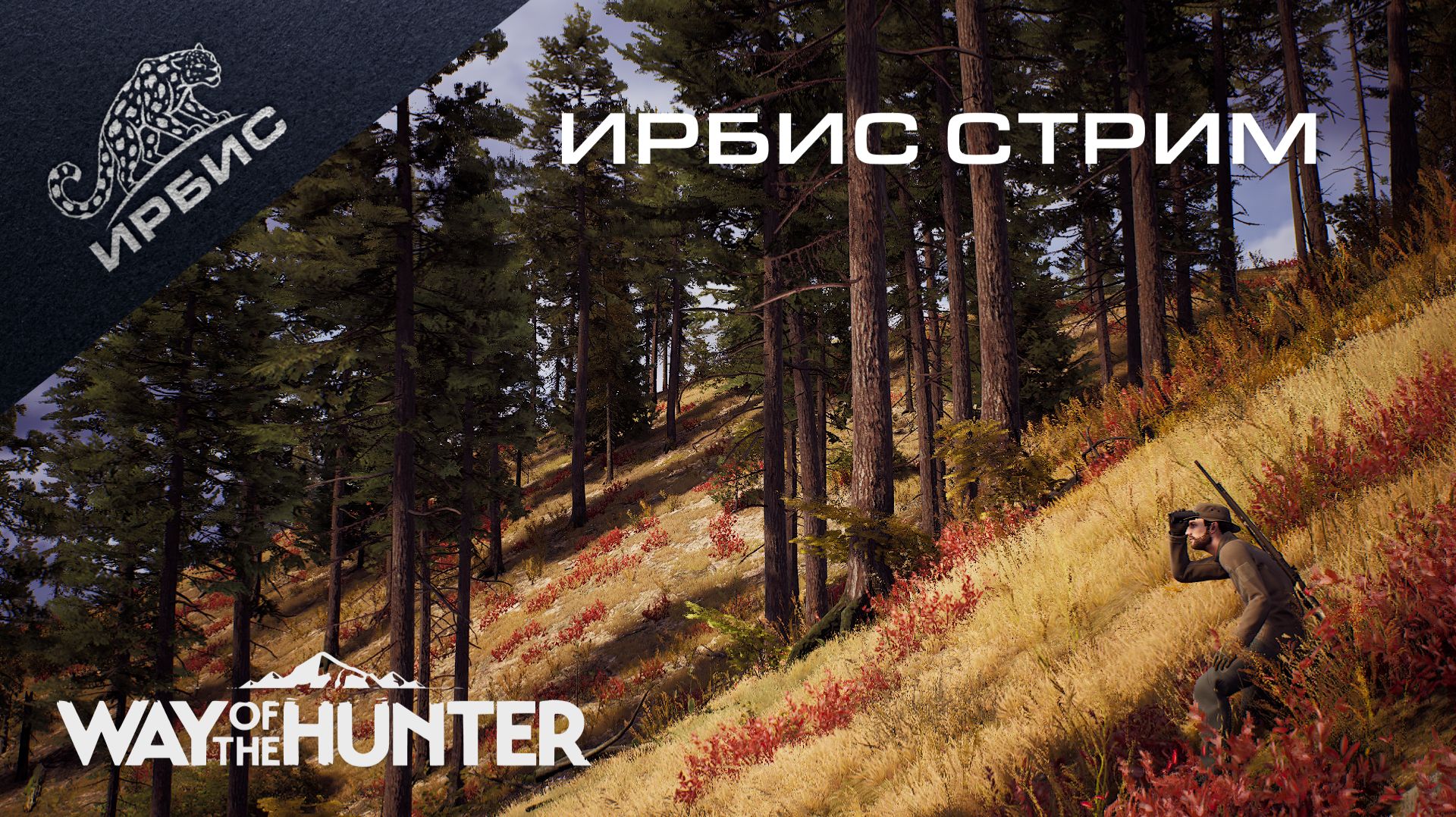Way of the Hunter | Охота с лабаза | 12