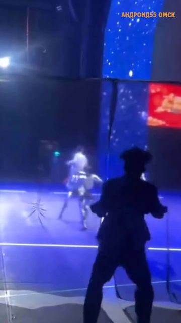 Кто на самом деле управлял роботами Unitree на новогоднем Галаконцерте - 2026 в Китае