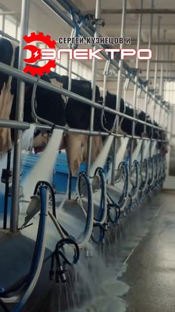 Молоко будет! 🐮⚡️ Привезли оживший мотор на ферму!