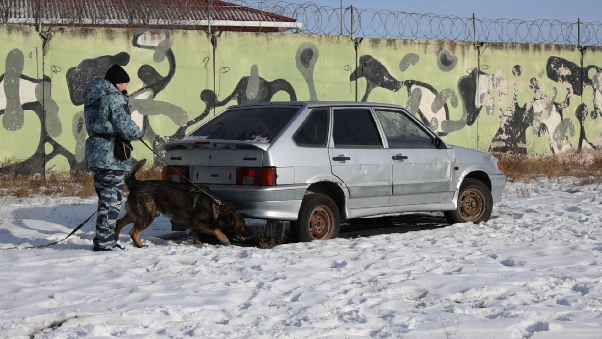 Хвостатые стражи порядка - в программе "Дело ведёт Мур-р-р"