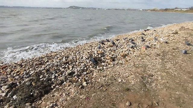 На пляже Сморжевского в Керчи началась подготовка