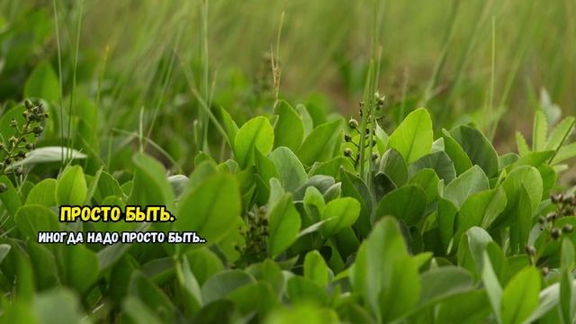 Просто быть.