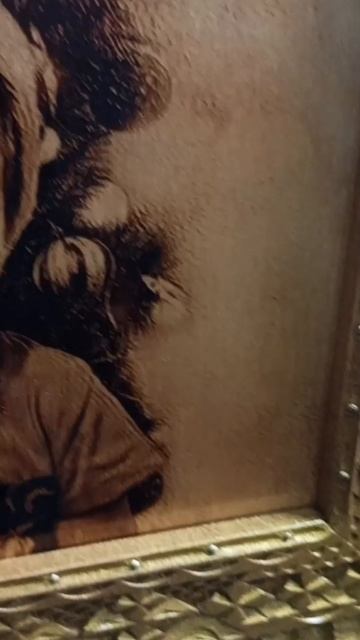 Портреты на Заказ в Резных Рамках на PyroPrinter X