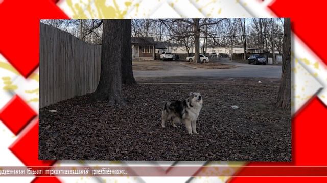 24.02.2026 Мировые новости