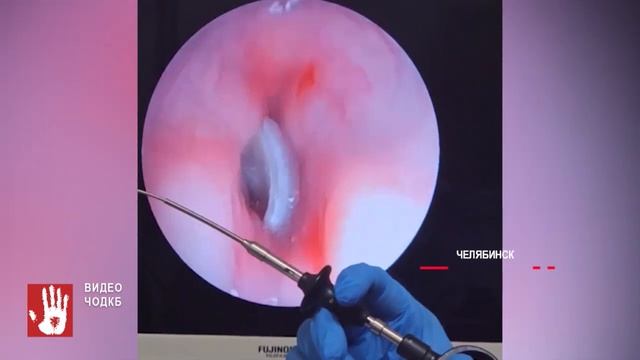 БОЛЬШОЙ ВЫПУСК. Главные происшествия Челябинска с 13 февраля по 19 февраля 2026 года